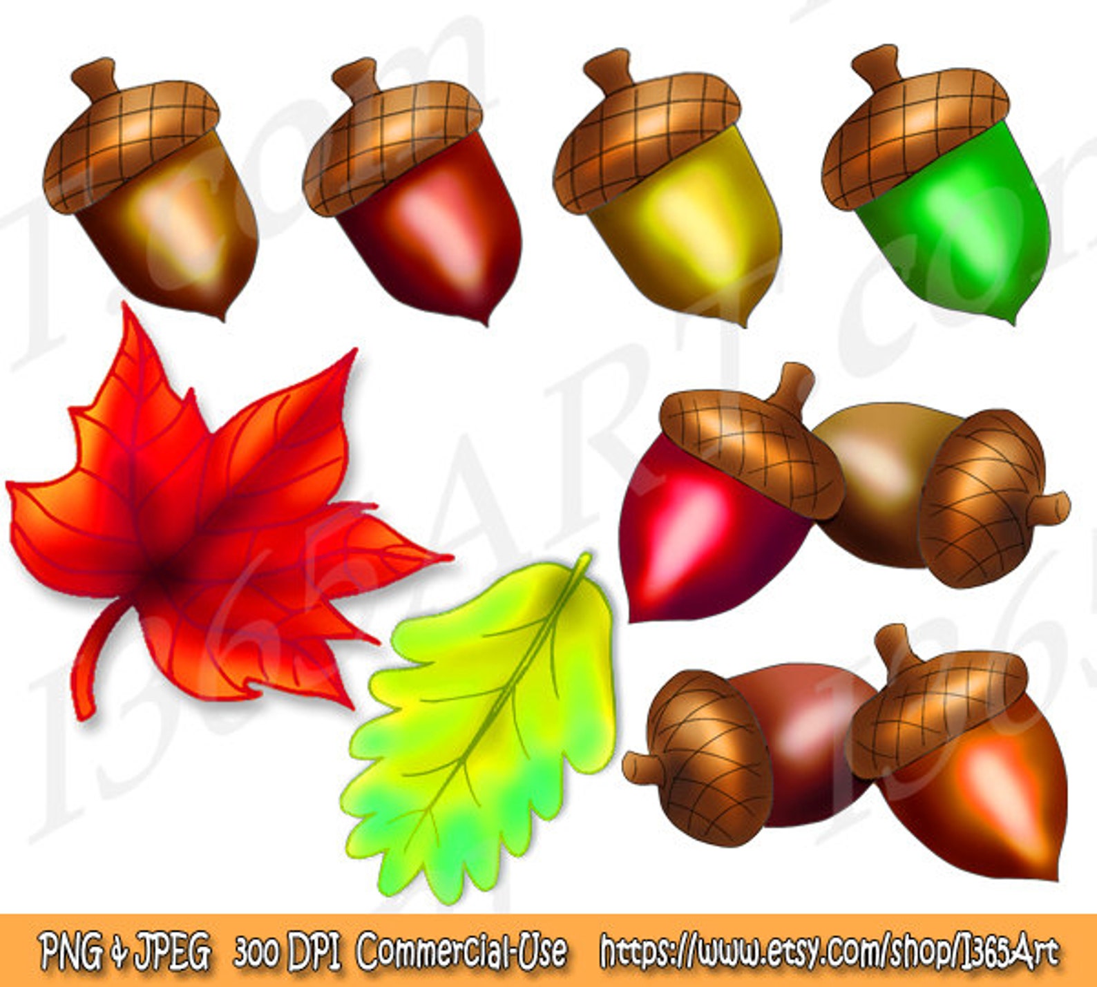 Acorn Clipart Set Scrapbooking Party Invitations Acorns - Etsy