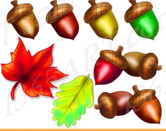 Acorn Clip Art - Etsy