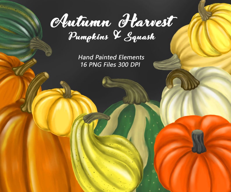 Autumn Harvest Clipart Pumpkin Clipart Squash Clipart - Etsy