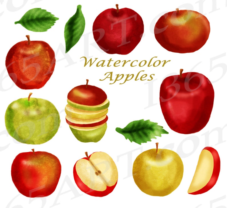Watercolor Apples Clipart Apple Clip Art Watercolor Fruits - Etsy