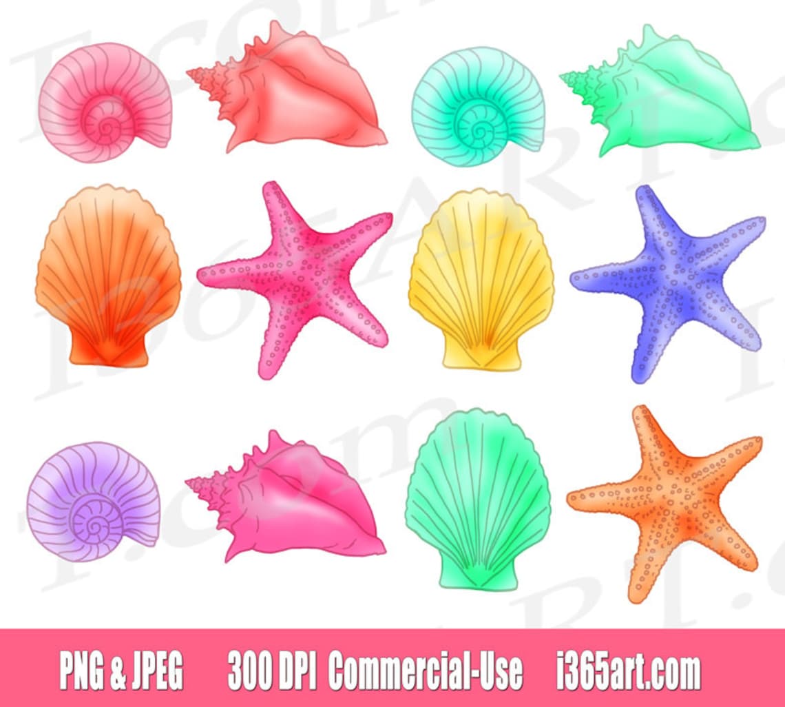 Seashell Clipart Seashell Clip Art Sea Shells Pastel - Etsy