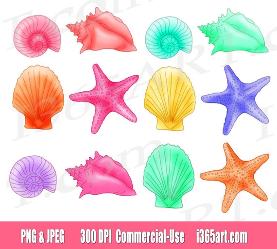 Clip Art Seashells