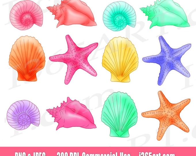 Conch Shell PNG | Seashell Conch Clip Art Under the Sea Creature ...
