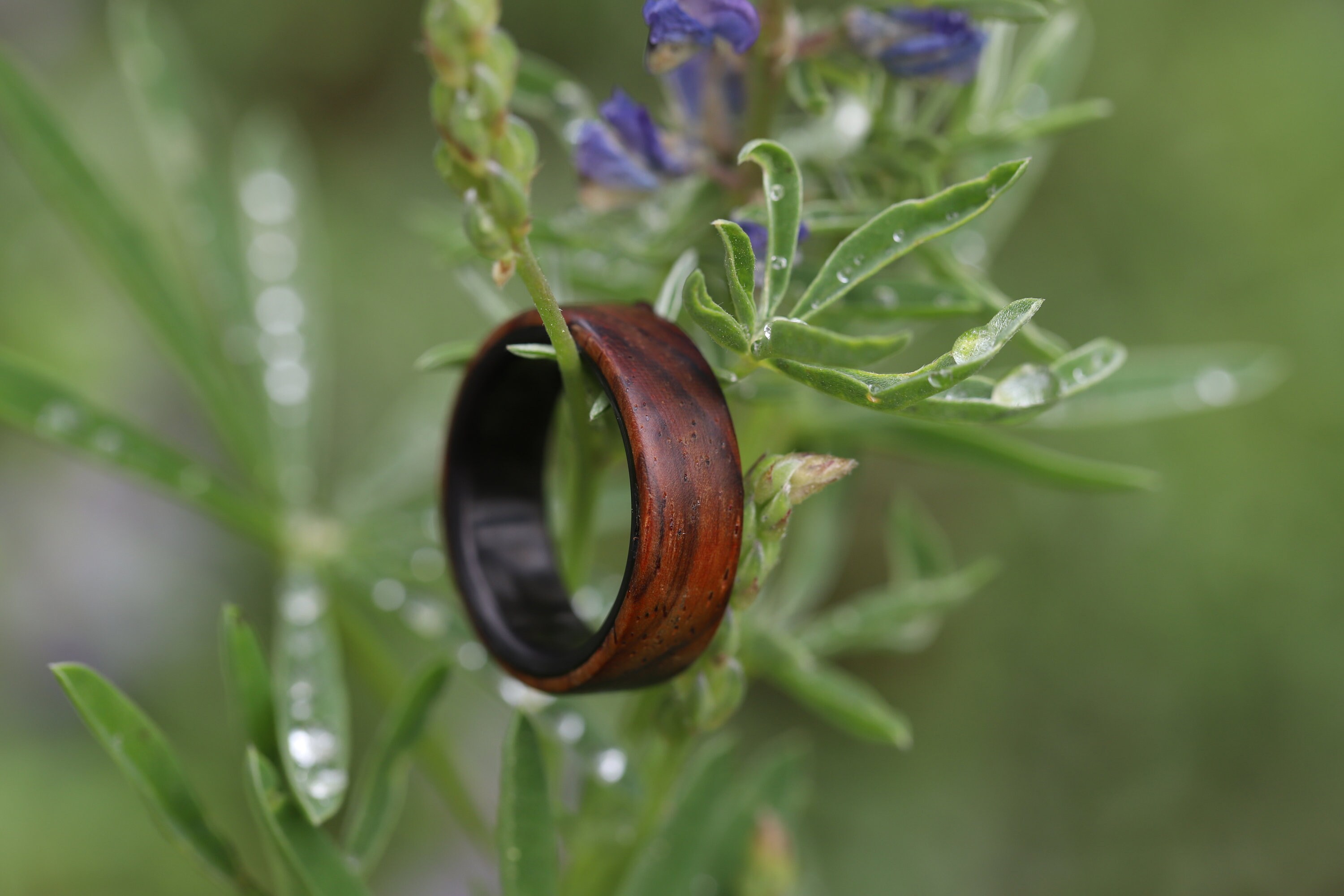 Cocobolo Wood Ring. Men's Wood Wedding Ring- El Jefe - Etsy