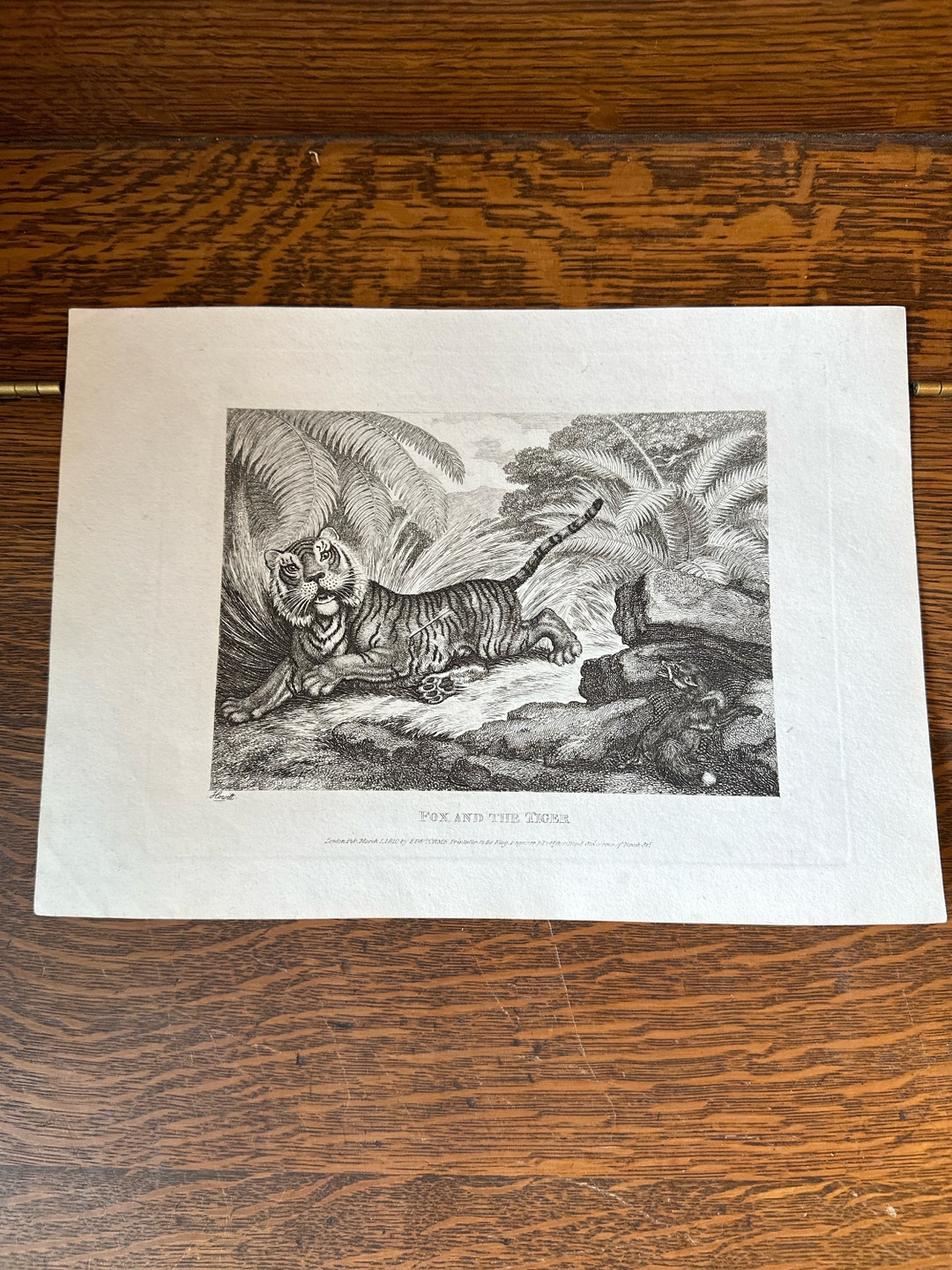 Tiger and Fox Etching by Samuel Howitt. From 1811 - Etsy