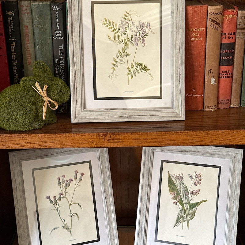 Framed Botanical Prints - Etsy