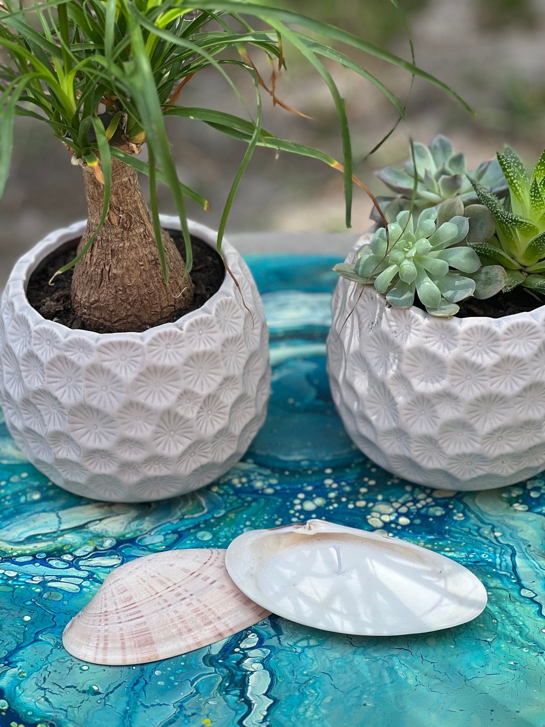 Soy Wax Clam Shell Candle - Etsy