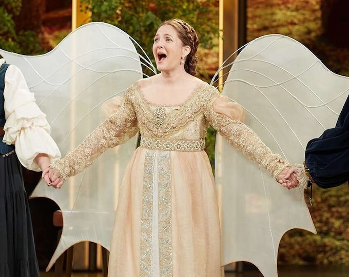 Renaissance Dress, Ever After Movie Dress, Cinderella Gown, Renaissance ...