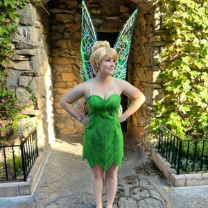 Tinker Bell Inspired Fairy Wings / Fairy Wings Similar to Tinkerbell ...