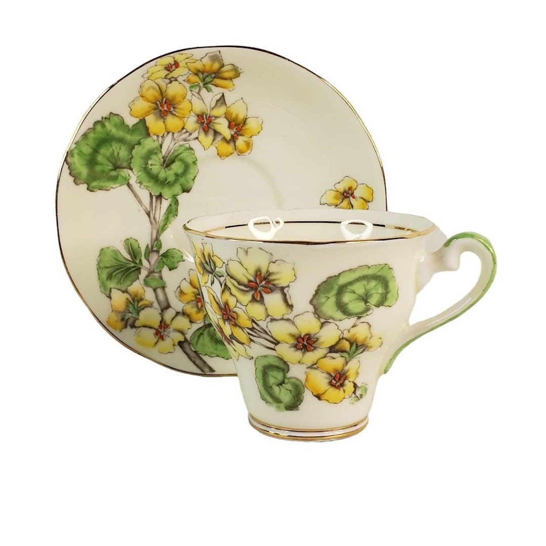 Salisbury Geranium Tea Cup and Saucer Porcelain China Made in England ...