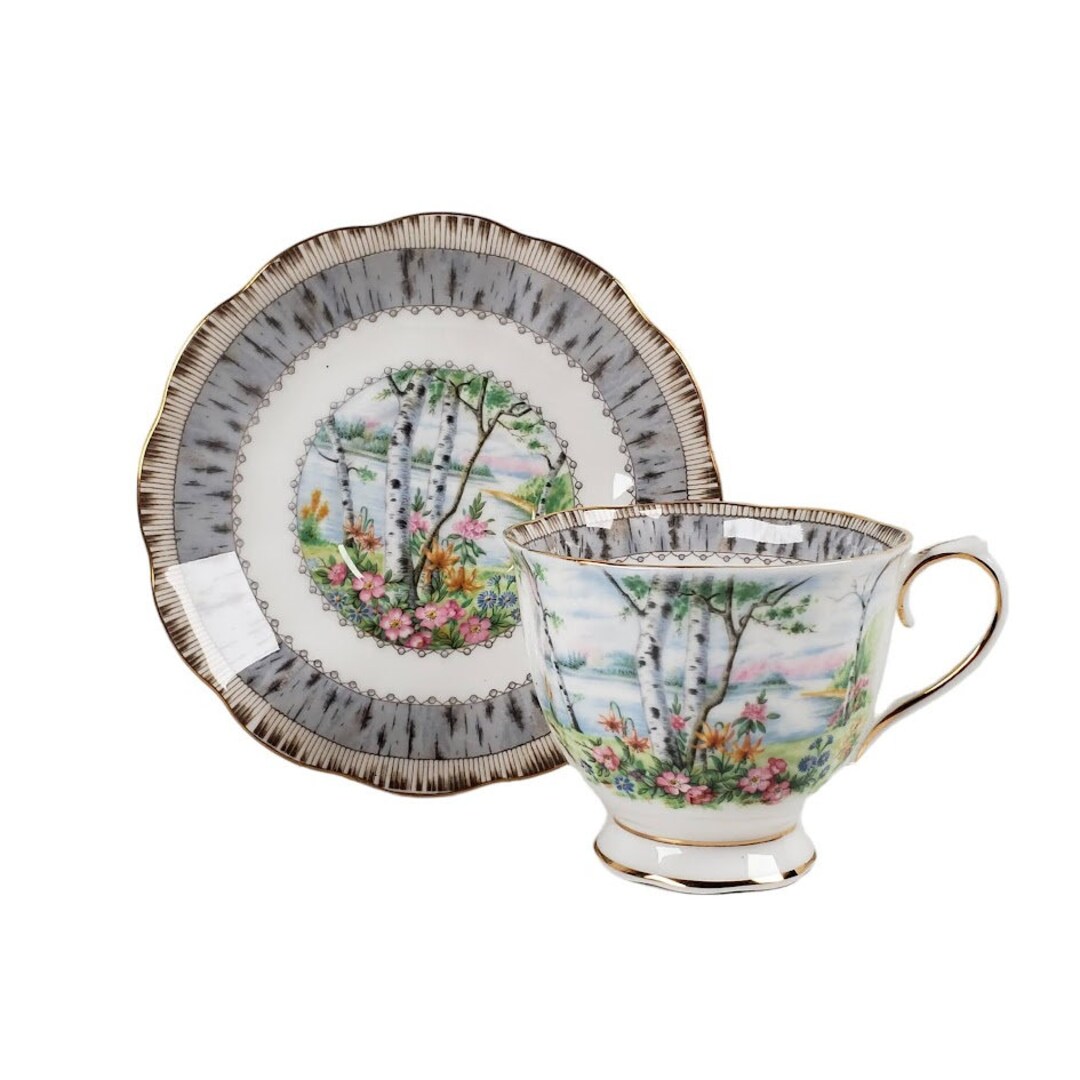 Royal Albert Silver Birch Tea Cup and Saucer Porcelain Made in England ...