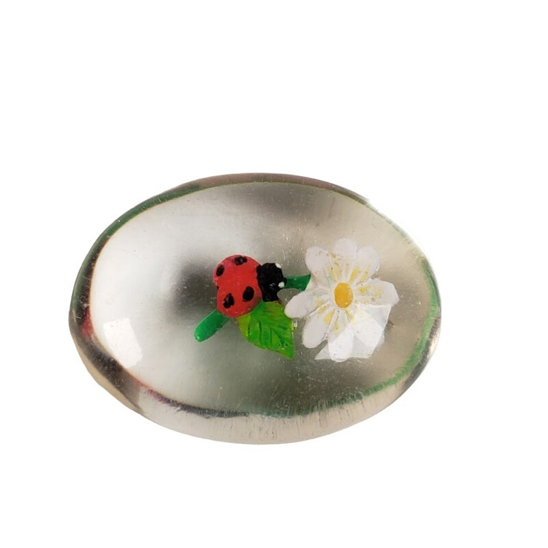 Embedded Lucite - Etsy