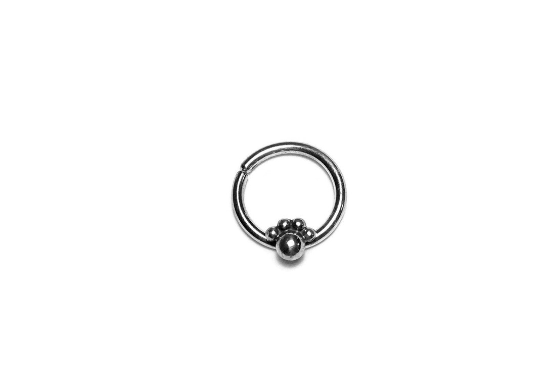 Paw Print Septum Ring ~ Animal Lover Nose Ring ~ Cat or Dog Paw Body ...