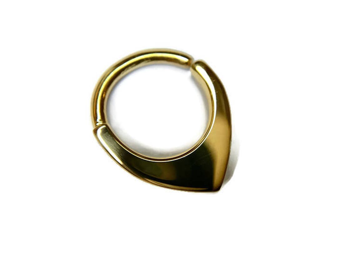 Mini Gold Shield Septum Ring ~ Small Blade Septum Hoop ~ Geometric Fin ...