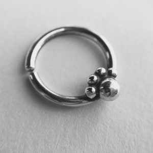 Paw Print Septum Ring ~ Animal Lover Nose Ring ~ Cat or Dog Paw Body ...