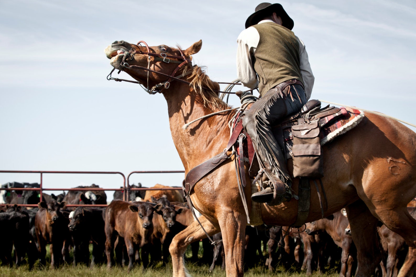 Cowboy Wrangling - Fine Art Photography Print - Etsy