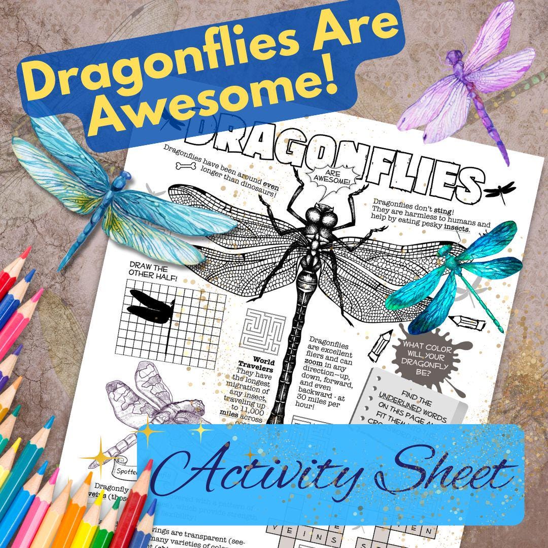 Dragonflies Are Awesome Activity Sheet - Etsy
