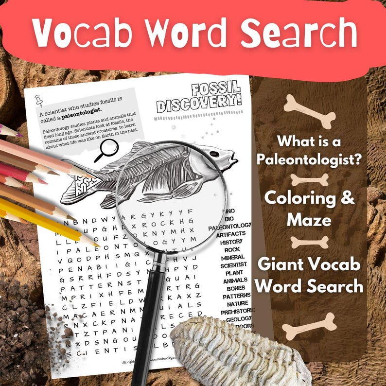 Fossil Discovery: Match & Learn- Fun Facts and Games! Printable ...