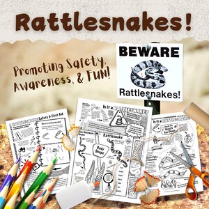 Rattlesnakes - Identification + Safety + First Aid + Fun Facts + Crafts ...