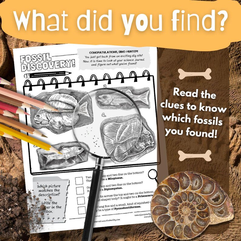 Fossil Discovery: Match & Learn- Fun Facts and Games! Printable ...