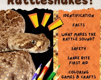 Rattlesnakes - Identification + Safety + First Aid + Fun Facts + Crafts ...