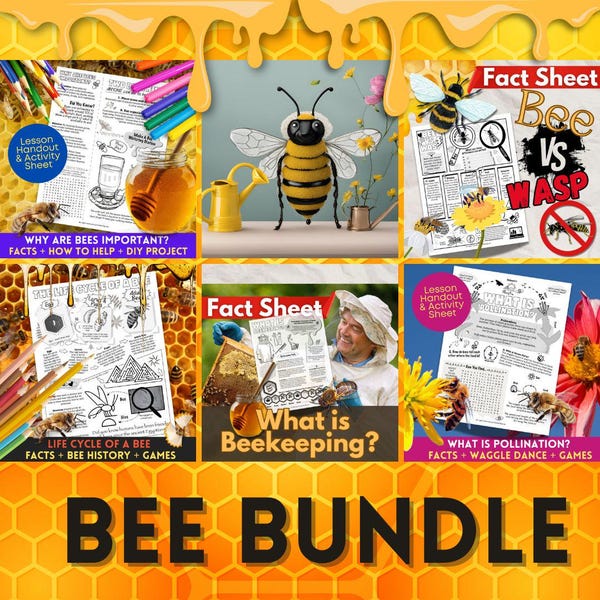 Pollinator Education - Etsy