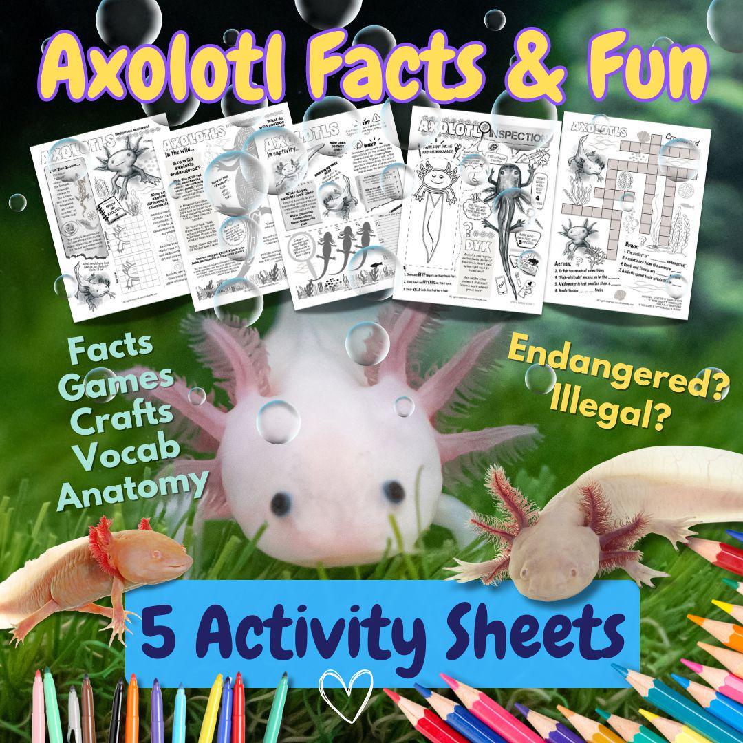 Wild & Captive Axolotl Facts + Fun - FIVE Activity Sheets - Zero Prep ...