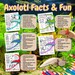 Wild & Captive Axolotl Facts + Fun - FIVE Activity Sheets - Zero Prep ...