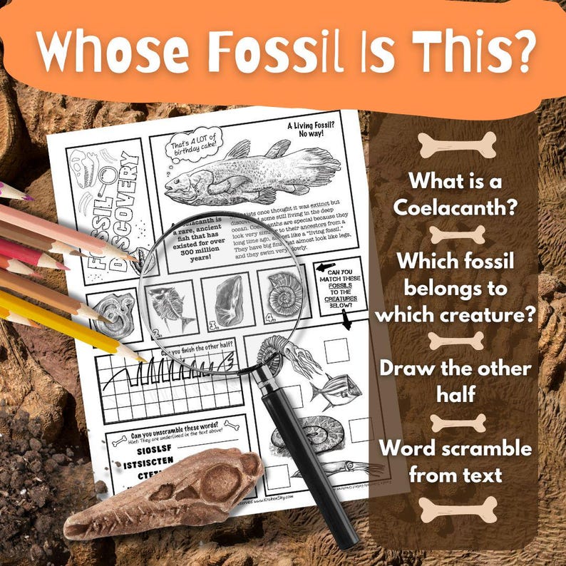 Fossil Discovery: Match & Learn- Fun Facts and Games! Printable ...
