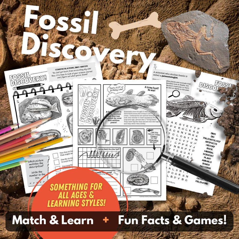 Fossil Discovery: Match & Learn- Fun Facts and Games! Printable ...