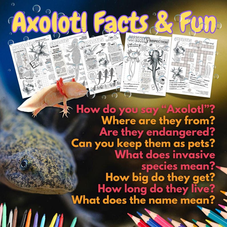 Wild & Captive Axolotl Facts + Fun - FIVE Activity Sheets - Zero Prep ...
