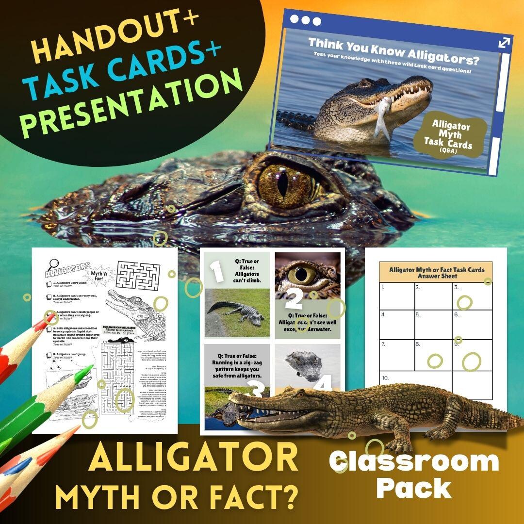 Alligator Myth or Fact - Handout + Task Cards + Presentation + Answer ...