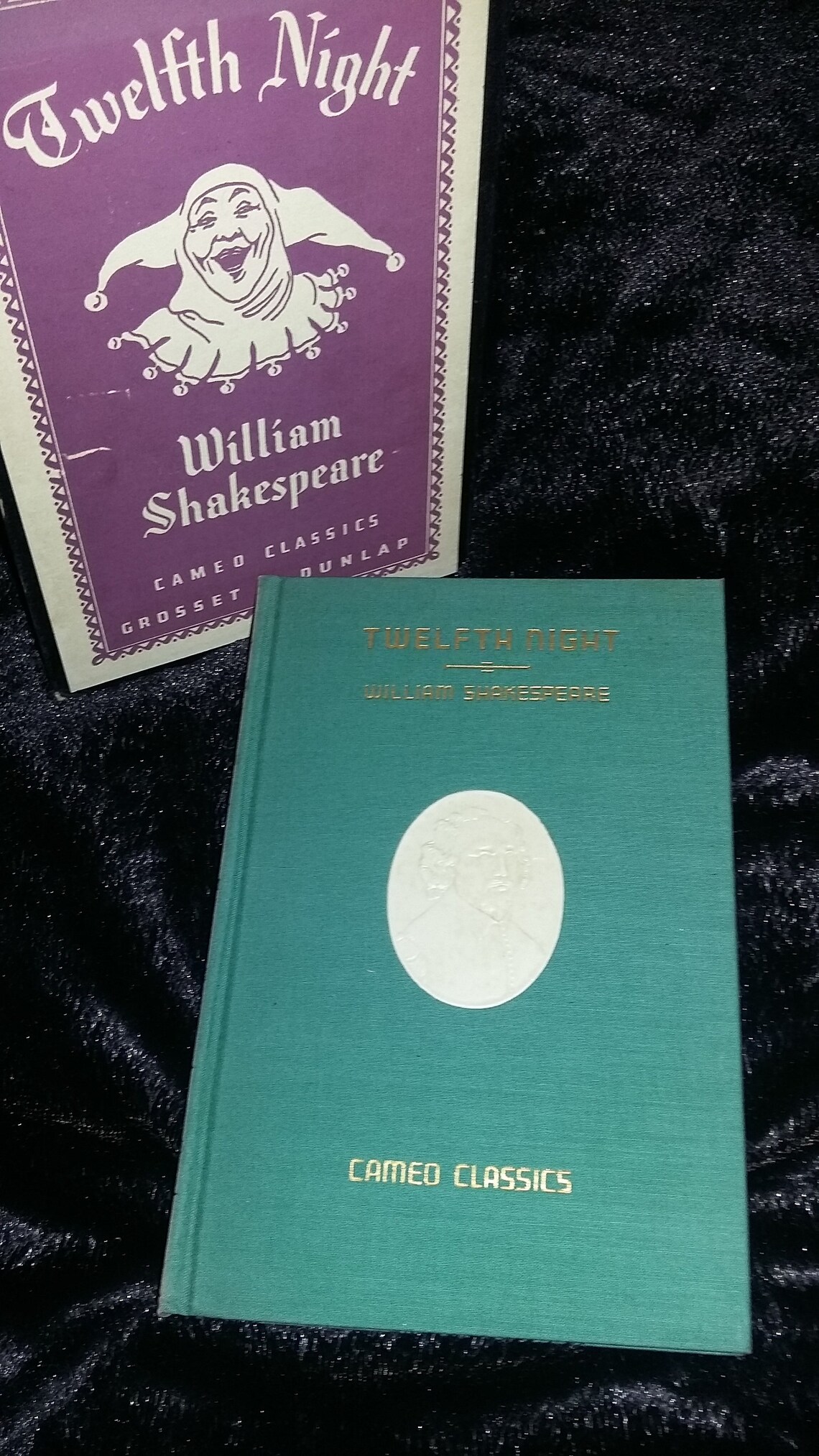 Twelfth Night by William Shakespeare | Etsy