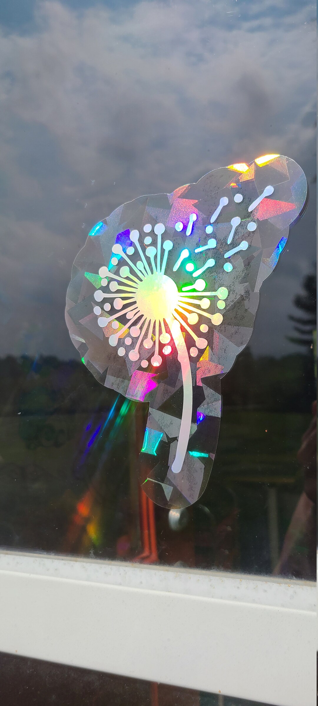 Dandelion // Rainbow Window Film // Cast Rainbows // Easily Removed and ...