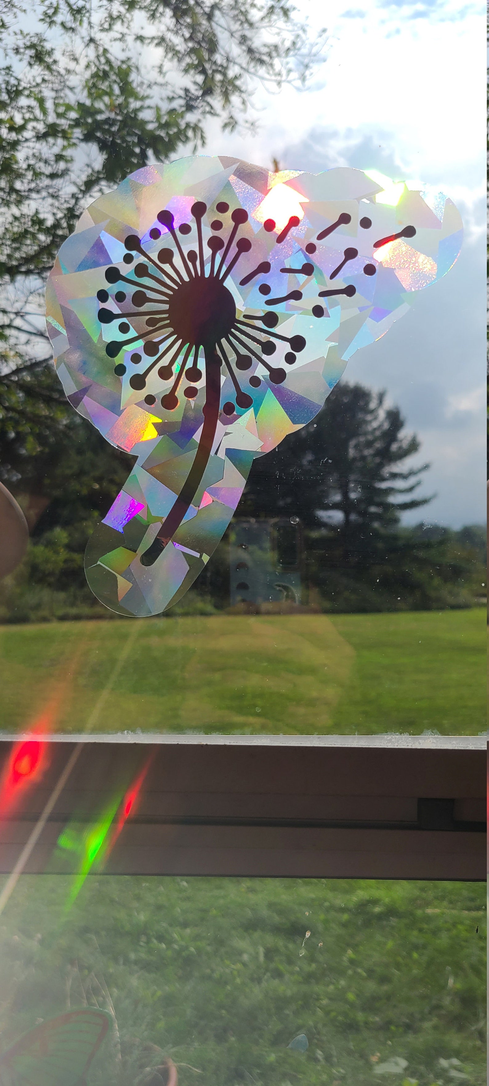 Dandelion // Rainbow Window Film // Cast Rainbows // Easily | Etsy