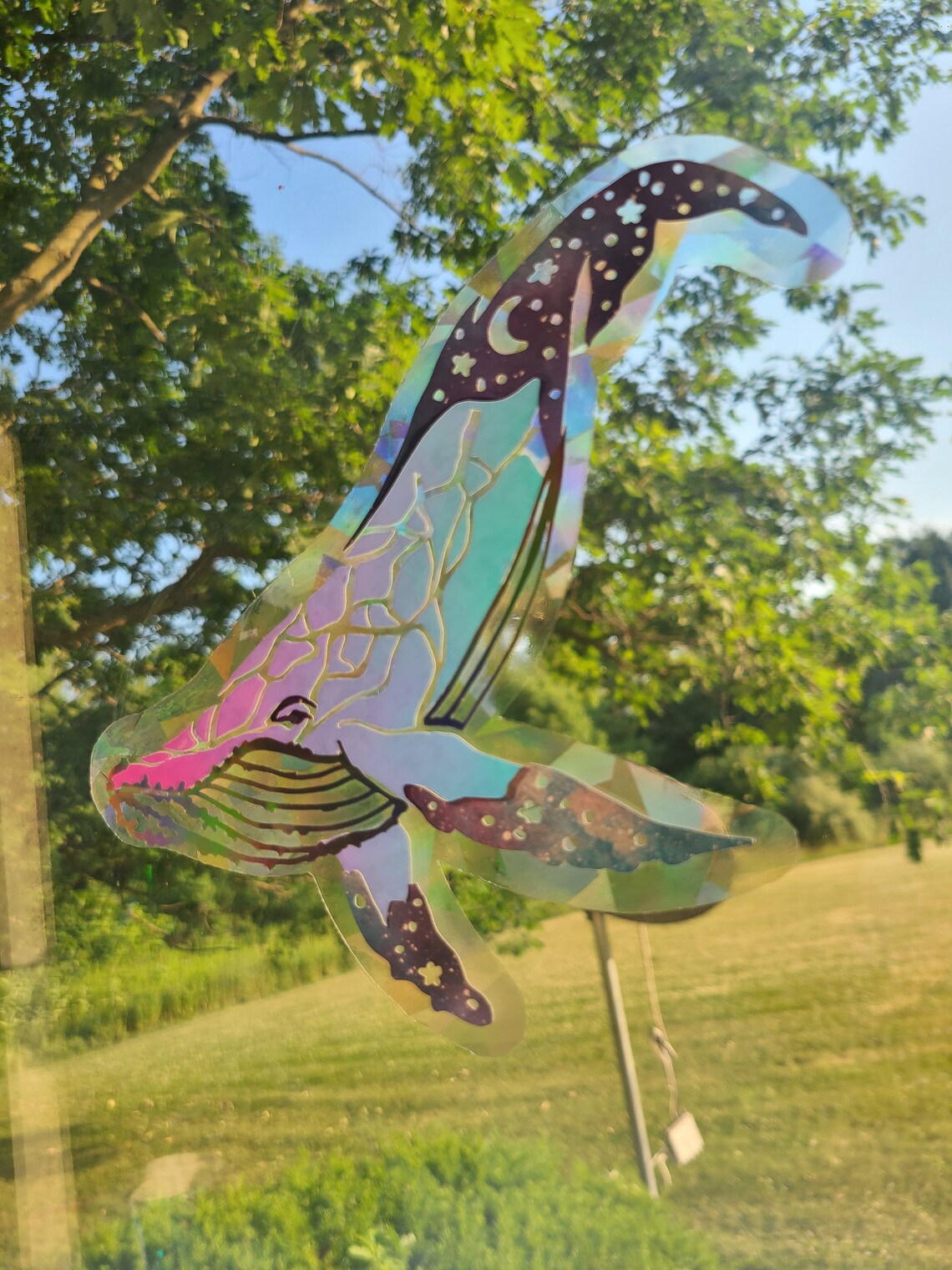 Celestial Whale Sun Catcher Window Sticker// Rainbow Window - Etsy