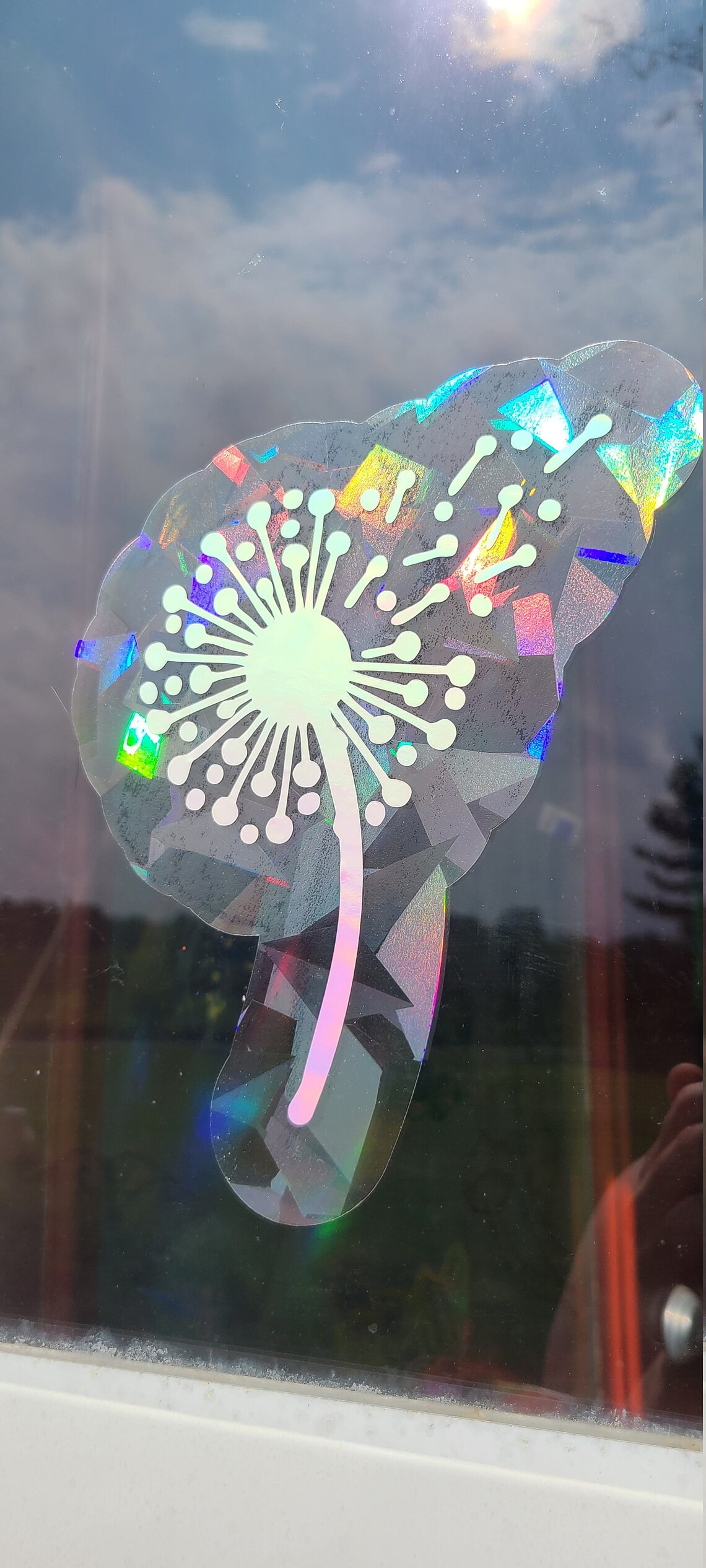 Dandelion // Rainbow Window Film // Cast Rainbows // Easily - Etsy