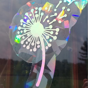 Dandelion // Rainbow Window Film // Cast Rainbows // Easily Removed and ...