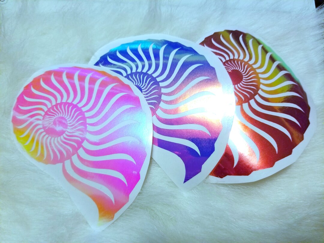 Color Shifting Vinyl Ammonite Sticker // Car Decal // Window Decal ...