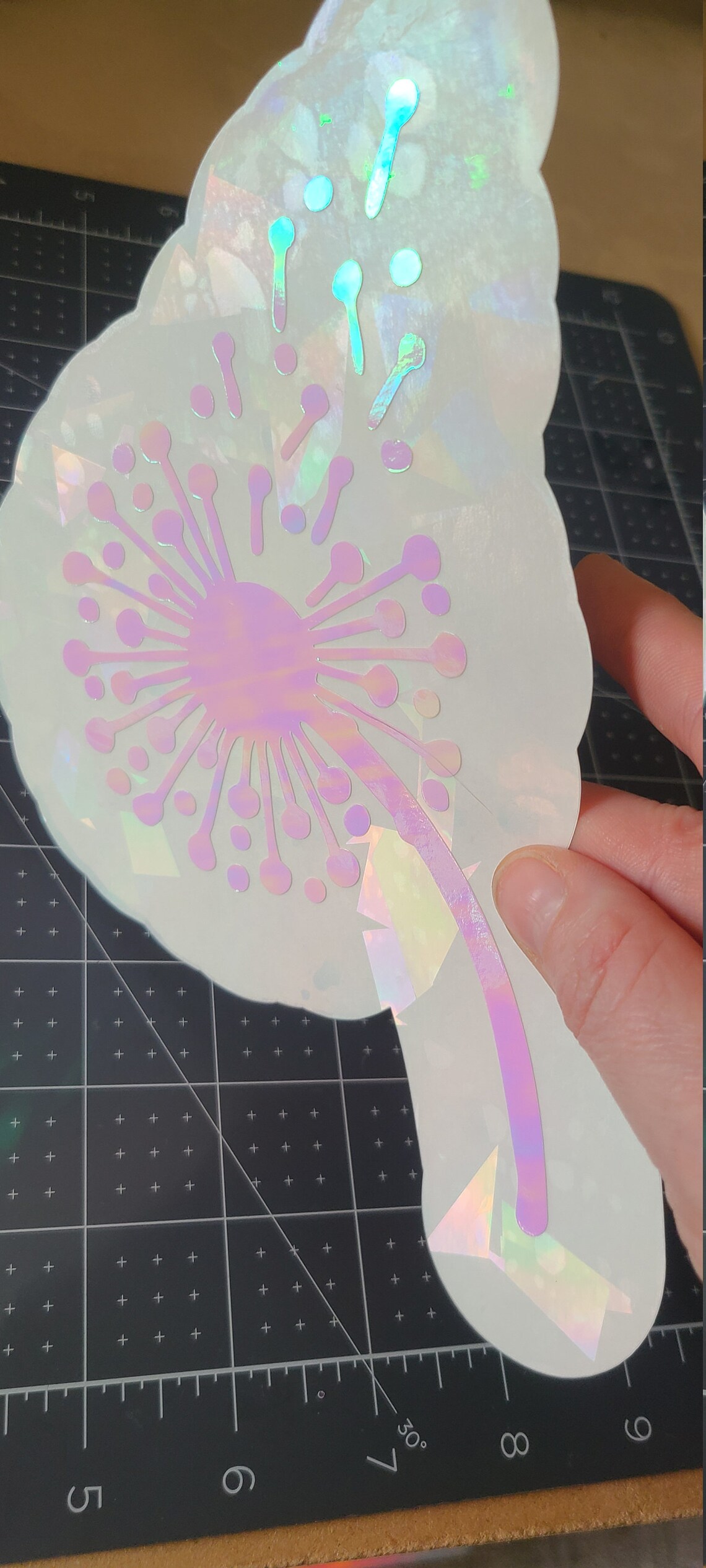 Dandelion // Rainbow Window Film // Cast Rainbows // Easily Removed and ...