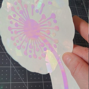 Dandelion // Rainbow Window Film // Cast Rainbows // Easily Removed and ...