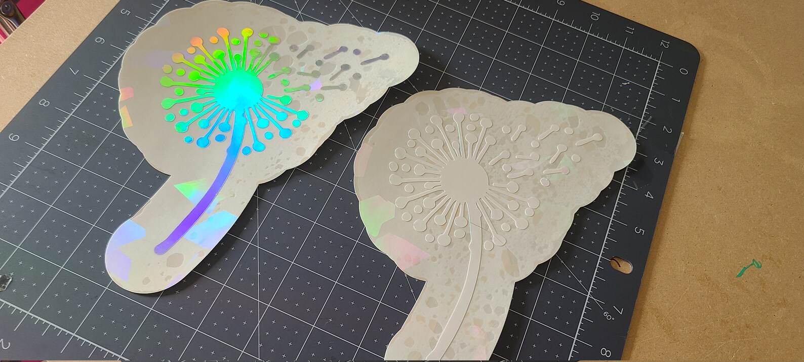 Dandelion // Rainbow Window Film // Cast Rainbows // Easily Removed and ...
