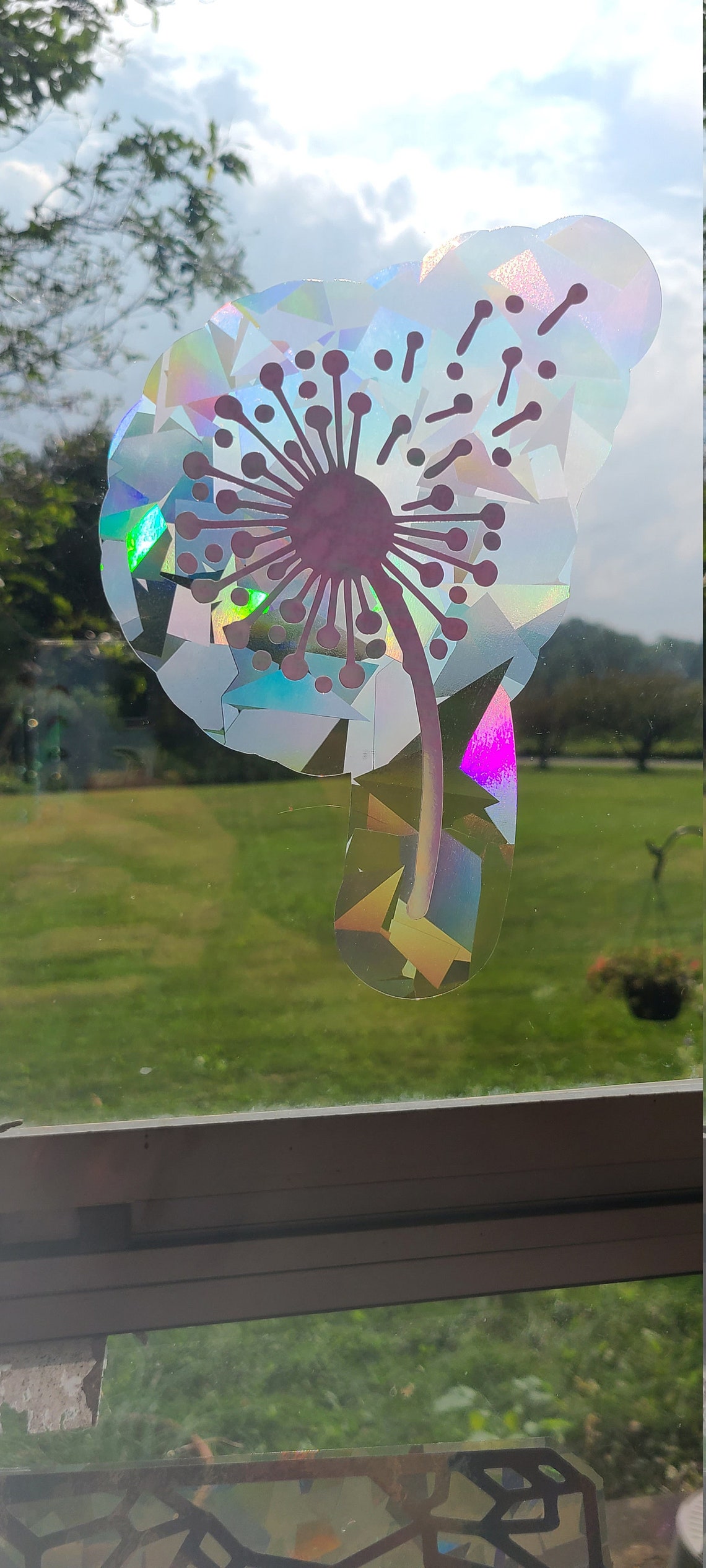 Dandelion // Rainbow Window Film // Cast Rainbows // Easily - Etsy