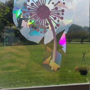 Dandelion // Rainbow Window Film // Cast Rainbows // Easily Removed and ...