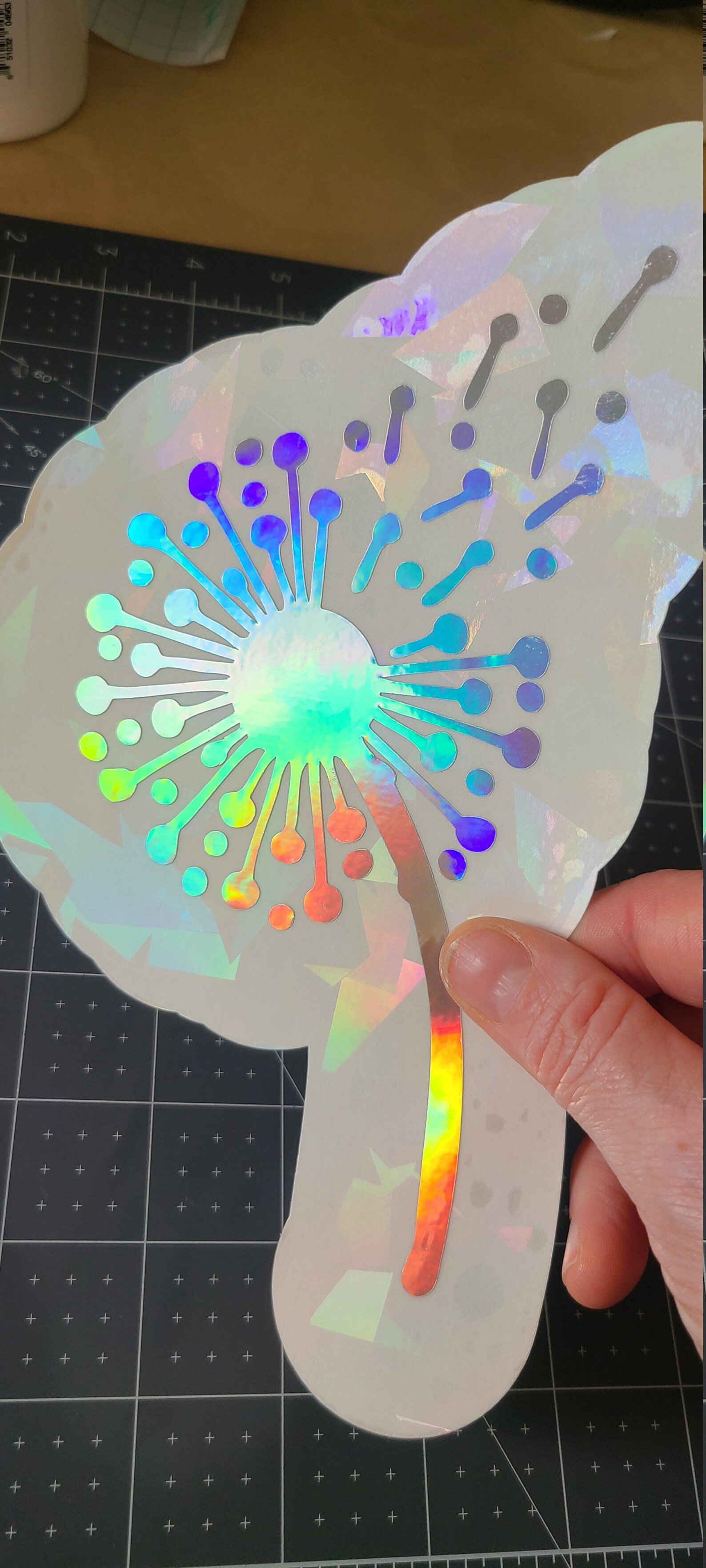 Dandelion // Rainbow Window Film // Cast Rainbows // Easily Removed and ...