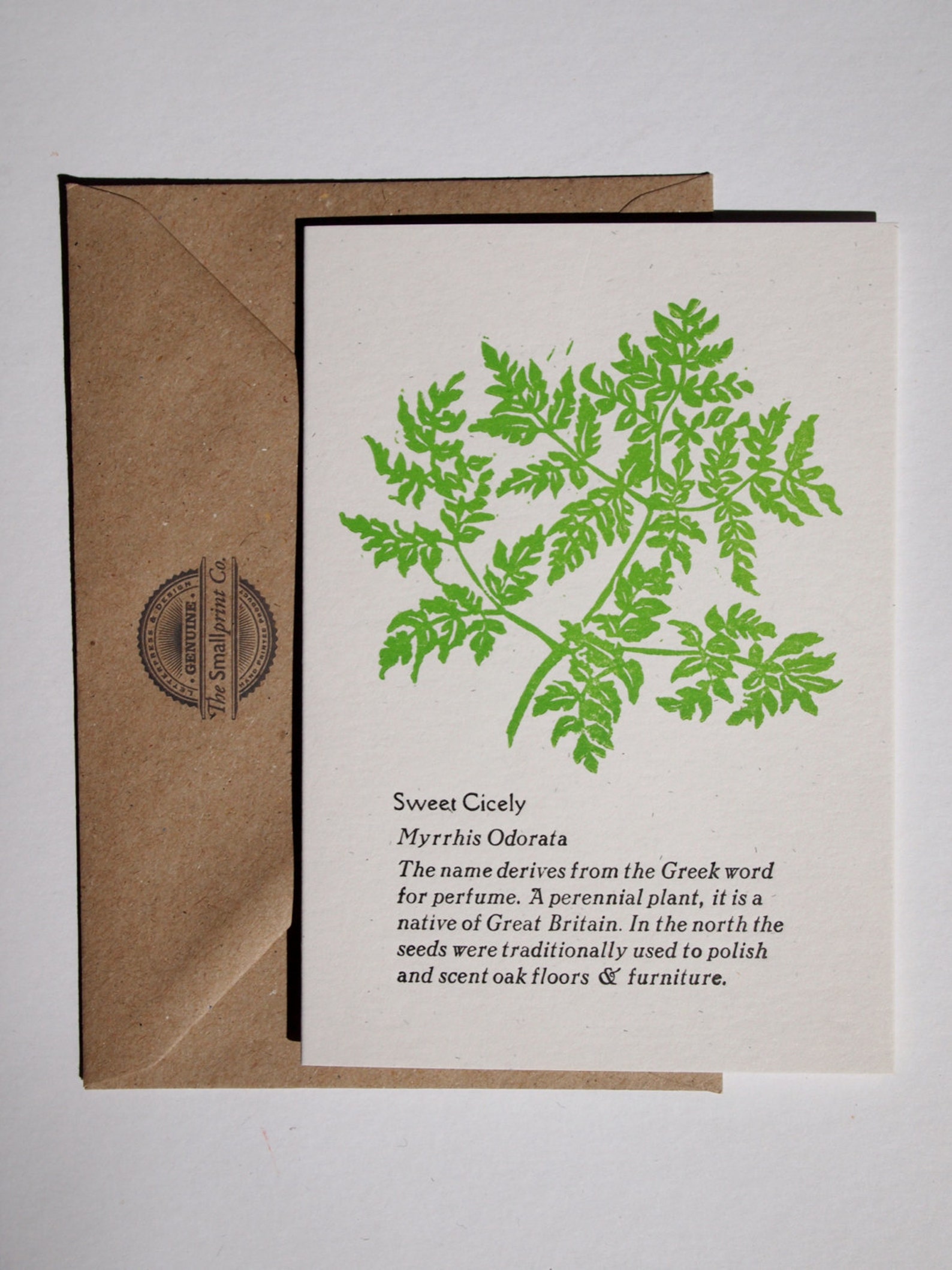 Sweet Cicely Herb Letterpress Card for a Gardener, Cook, Birthday, Just ...
