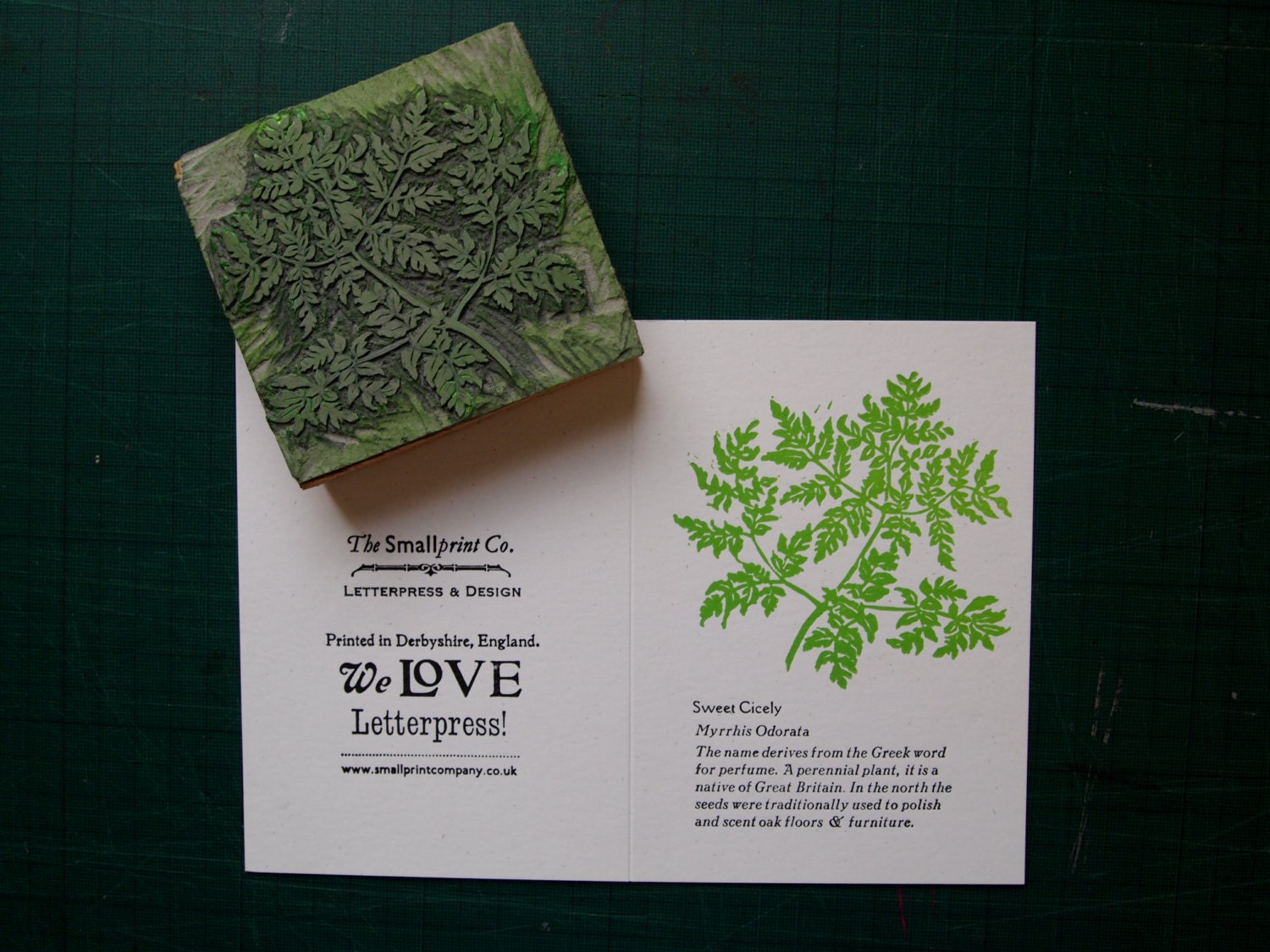 Sweet Cicely Herb Letterpress Card for a Gardener, Cook, Birthday, Just ...