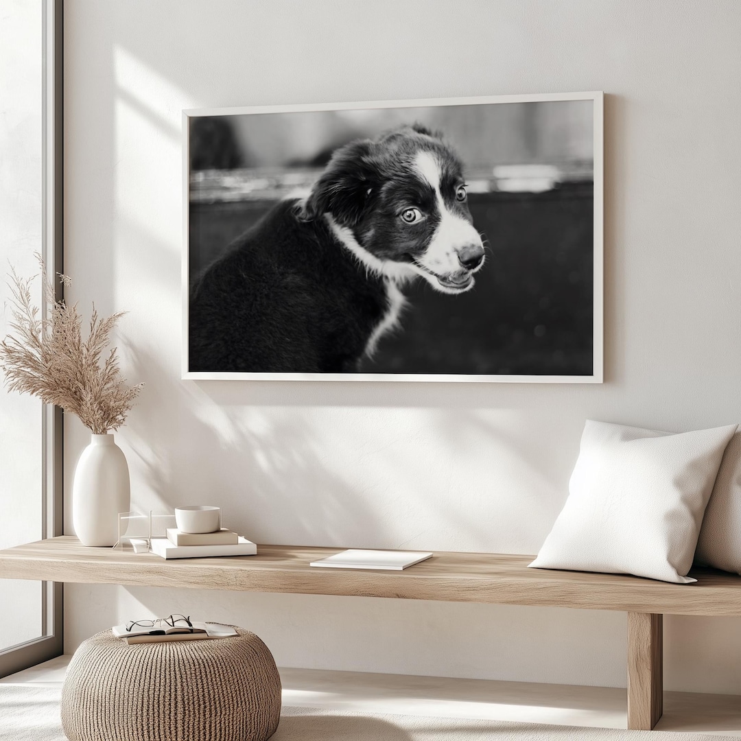 Australian Shepherd Puppy Digital Download, Cute Aussie Dog Photo Print ...