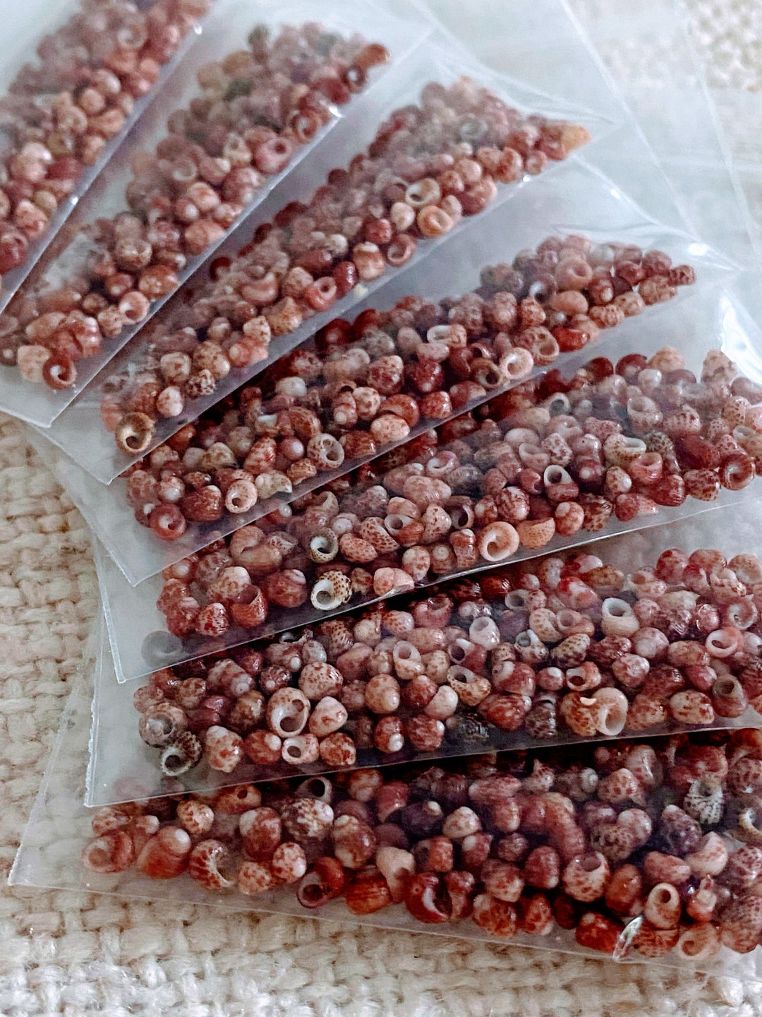 Kahelelani Shells for Jewelry Making: Mixed Colors and Sizes 3mm-5mm ...