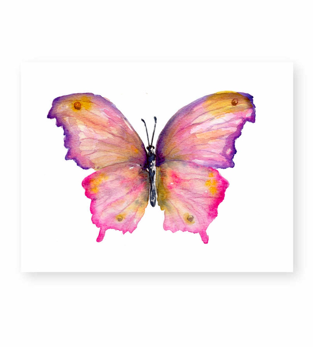 Pink Butterfly Card for All Occasion Card With Butterfly Theme - Etsy